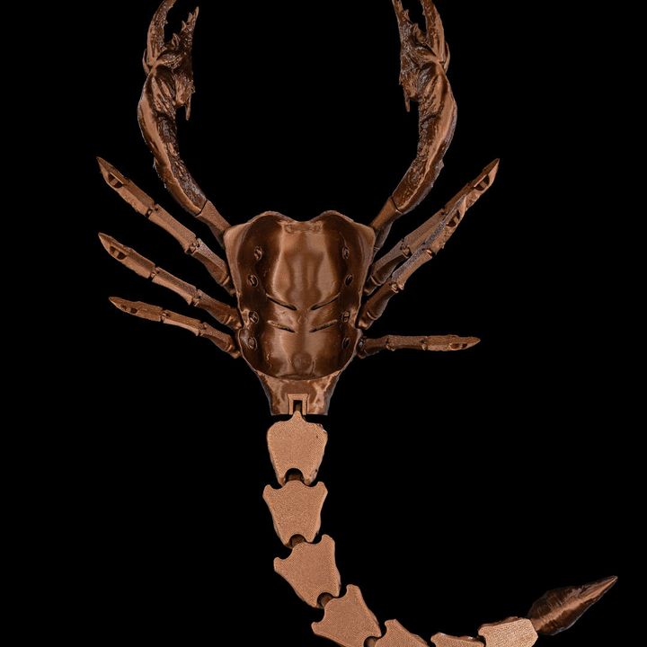 3D Printable Scorpion Grasp Halloween Mask by Stlflix