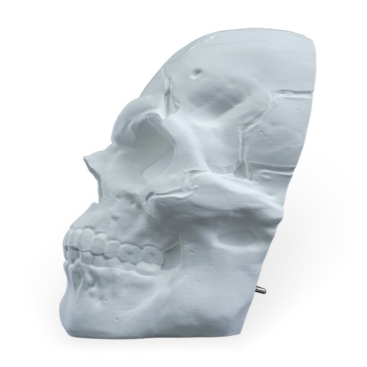 3D Printable Light Headed Wall Light by Stlflix