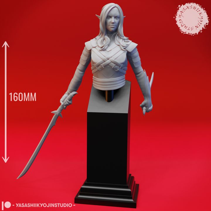 3D Printable Drow Assassin - Bust (Pre-Supported) by YKS Miniatures