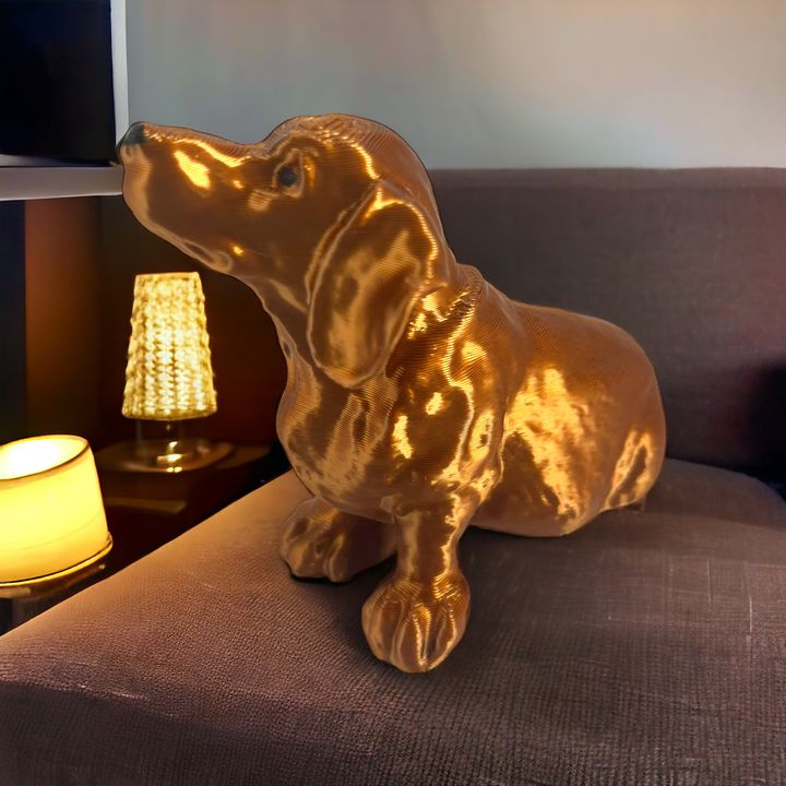 3D Printable Teckel dog Baby by anthony