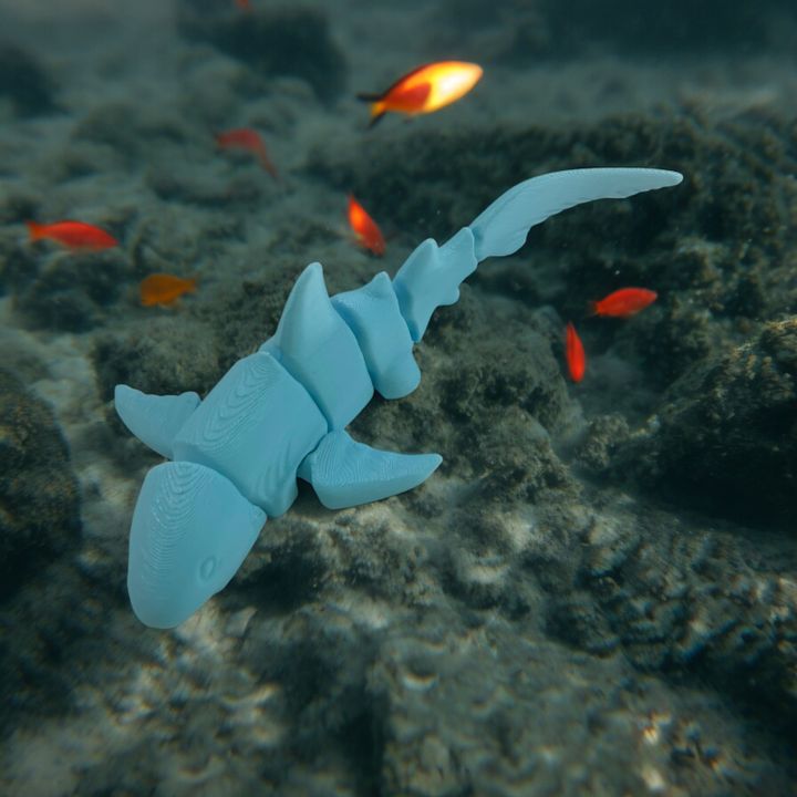 3D Printable Shark Flexy by anthony