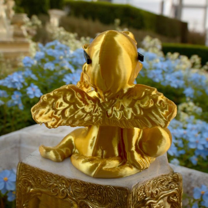 3D Printable Angel middle finger by anthony