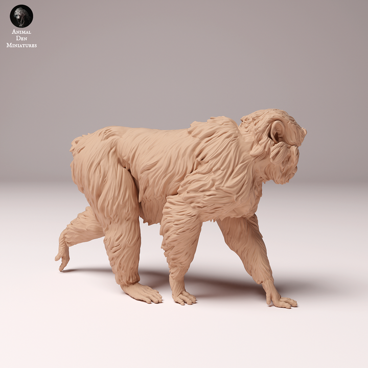 3D Printable Japanese Macaque by Animal Den Miniatures