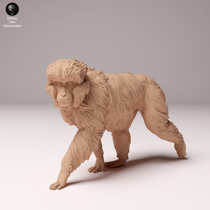 3D Printable Japanese Macaque by Animal Den Miniatures