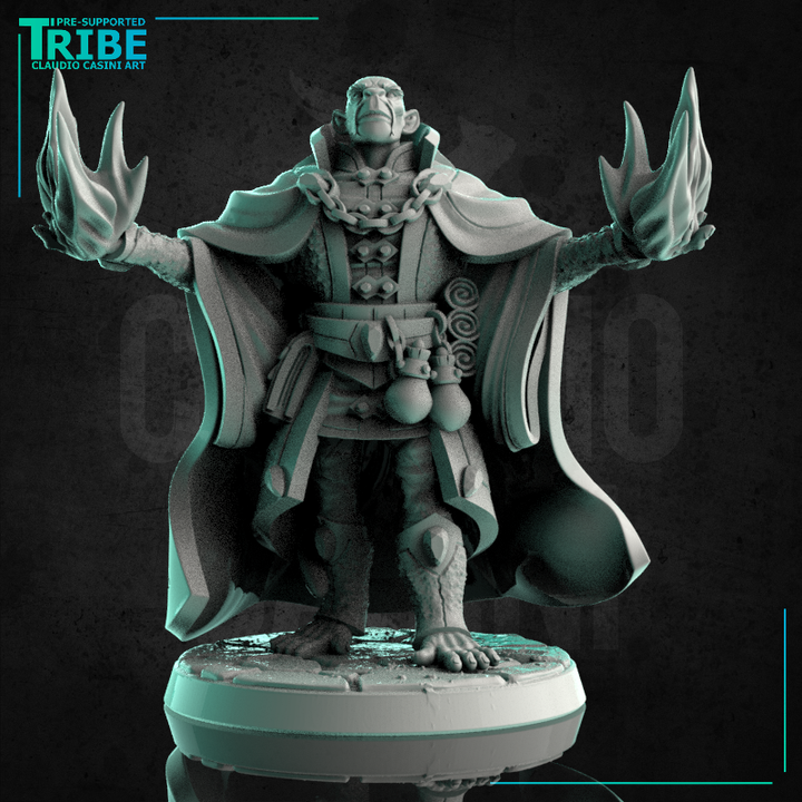 3D Printable (0238) Male monkey folk ape man wizard magician evocator ...