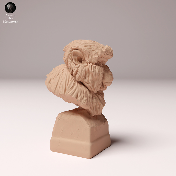 3D Printable Japanese Macaque Bust by Animal Den Miniatures