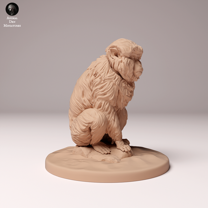 3D Printable Japanese Macaque Sitting by Animal Den Miniatures