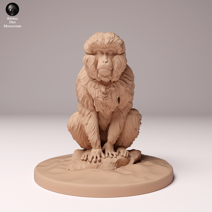 3D Printable Japanese Macaque Sitting by Animal Den Miniatures