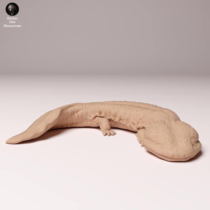 3D Printable Japanese Giant Salamander by Animal Den Miniatures