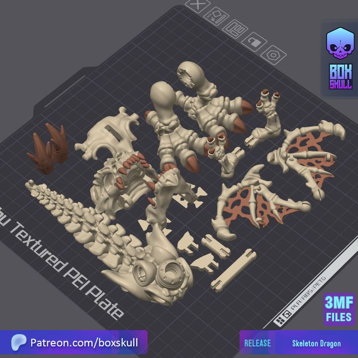 3D Printable SKELETON DRAGON - FLEXI - ARTICULATED by BOXSKULL