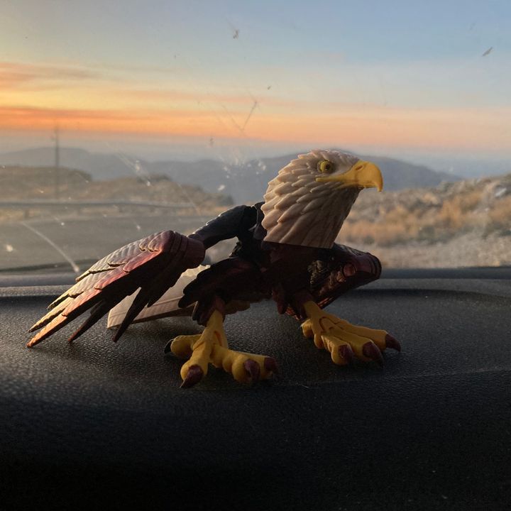 3D Printable Bald eagle by I.magina 3d