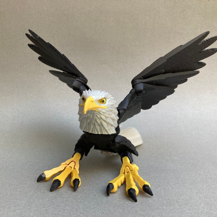 3D Printable Bald eagle by I.magina 3d