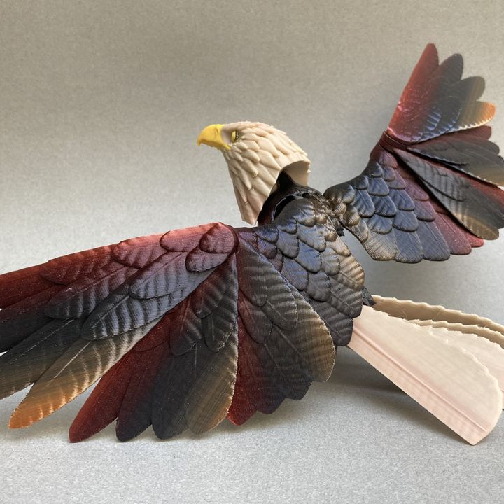 3D Printable Bald eagle by I.magina 3d