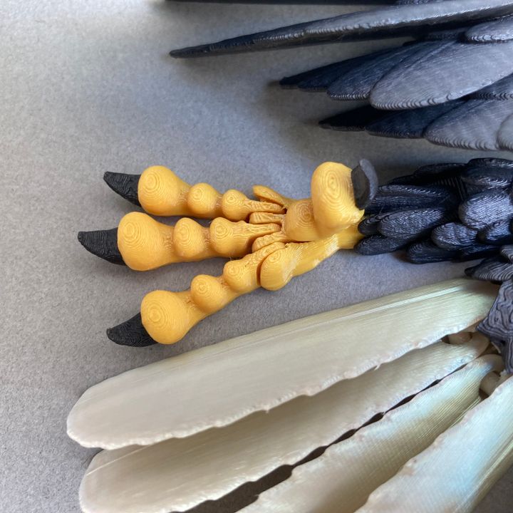 3D Printable Bald eagle by I.magina 3d