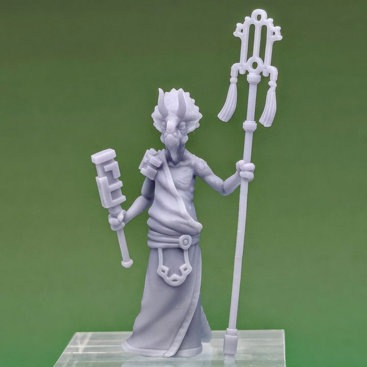 3D Printable Dinosaur Folk Caster - Solathar, Dinovian Priest (Pre ...