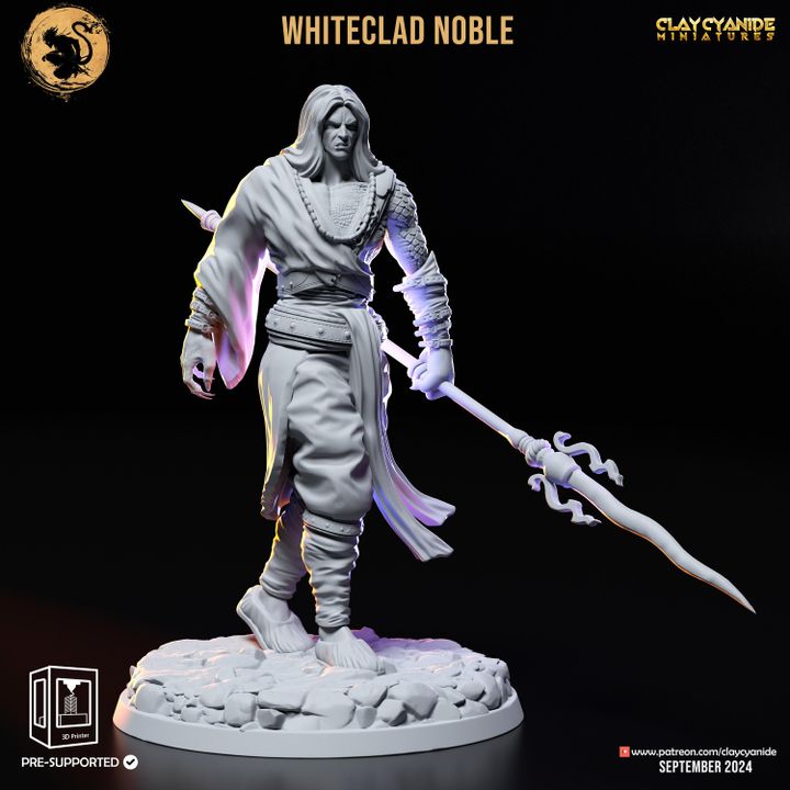 3D Printable Whiteclad Noble by Clay Cyanide Miniatures