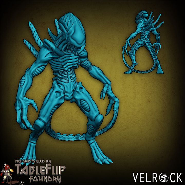 3D Printable Xeno Swarm 2 (PRESUPPORTED) by Velrock Art Miniatures