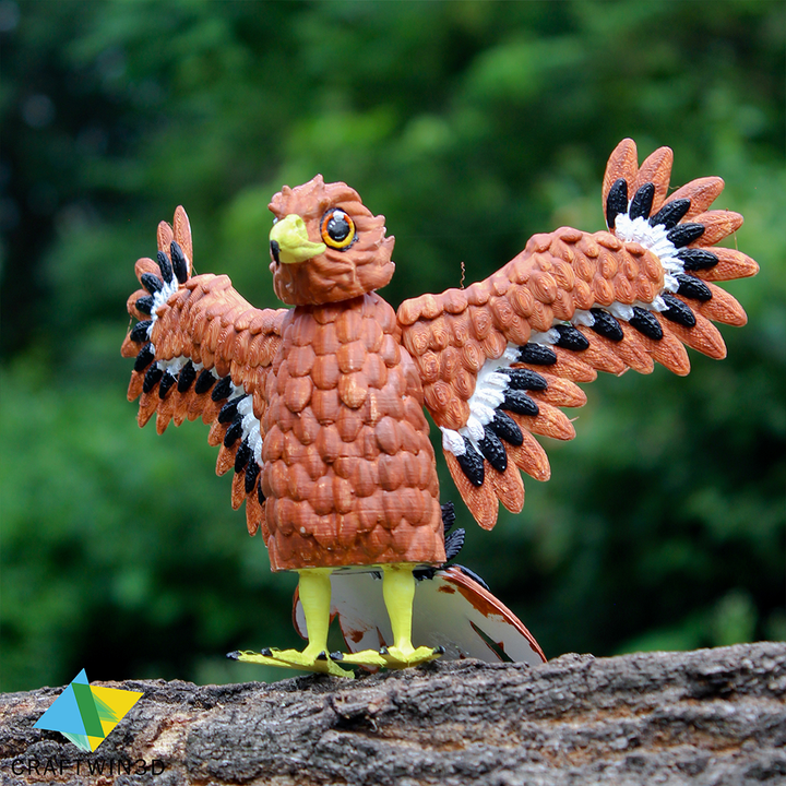 3D Printable Flexy Hawk Print in place by Craftwin