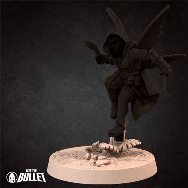 3D Printable Pixie Rogue by Bite the Bullet