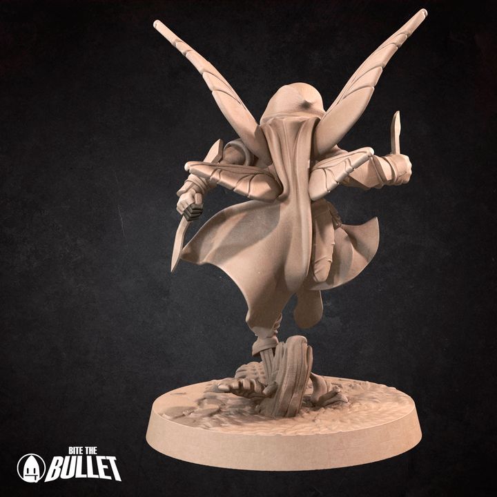 3D Printable Pixie Rogue by Bite the Bullet