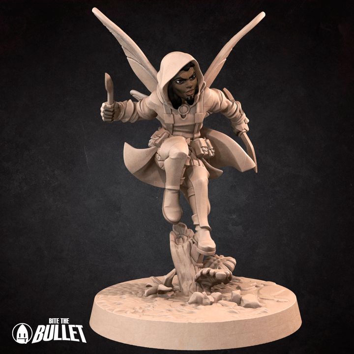 3D Printable Pixie Rogue by Bite the Bullet