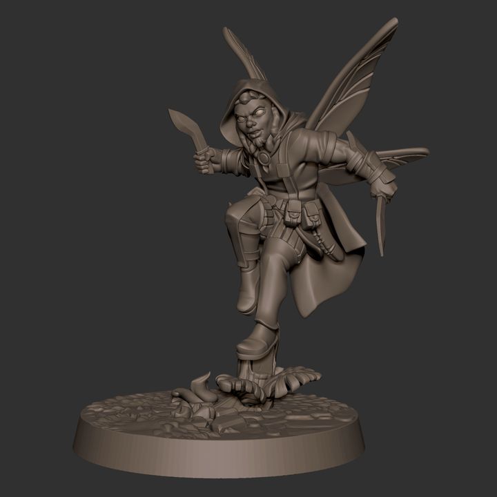 3D Printable Pixie Rogue by Bite the Bullet