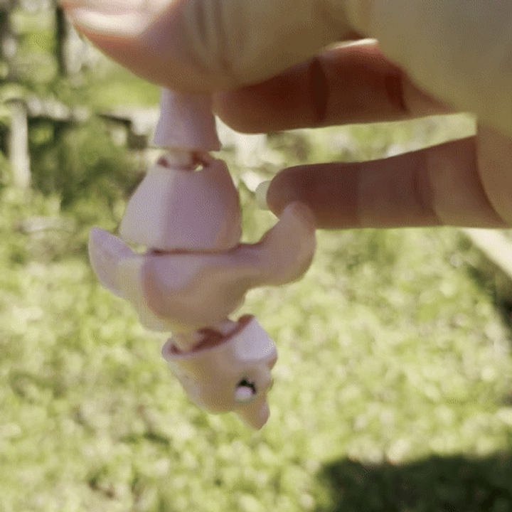 3D Printable Bea the Boto Flexi (River Dolphin) by ChibiBestiary