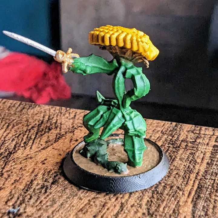 3D Print of Amidor and Pollenella by pollyclarke