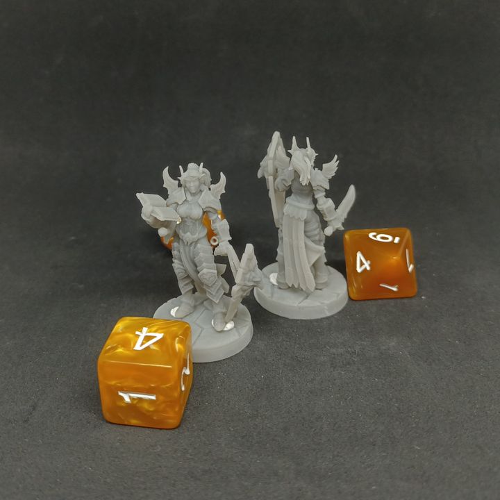 3D Printable Loyalty Reward 03 Months - Female Elven Knight by Imagine ...