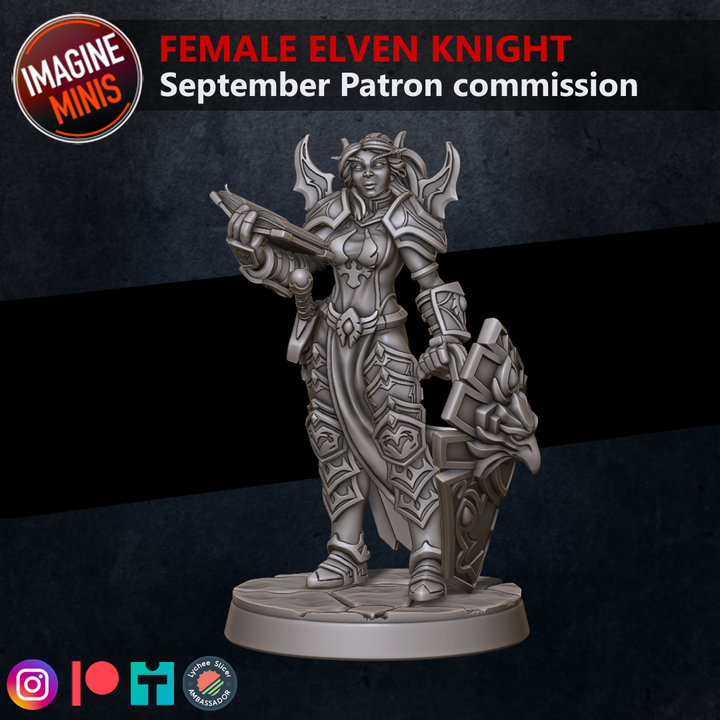 3D Printable Loyalty Reward 03 Months - Female Elven Knight by Imagine ...
