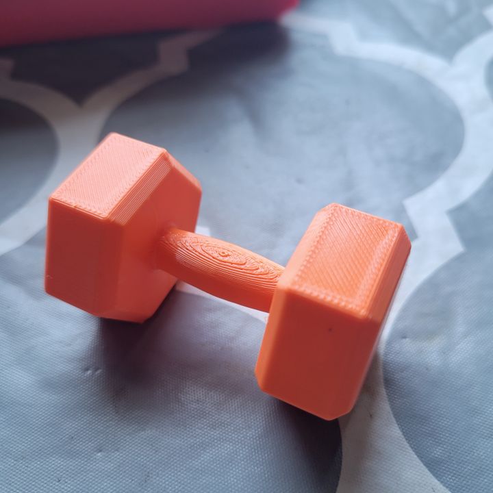 3D Printable Dumbbell Paper Weight by Nicholas Diaz