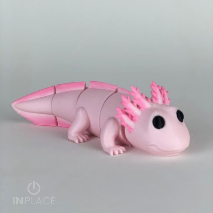 3D Printable Cute Axolotl Articulated by Inplace