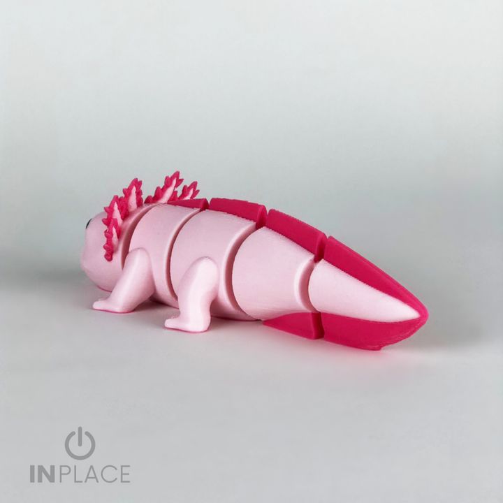 3D Printable Cute Axolotl Articulated by Inplace