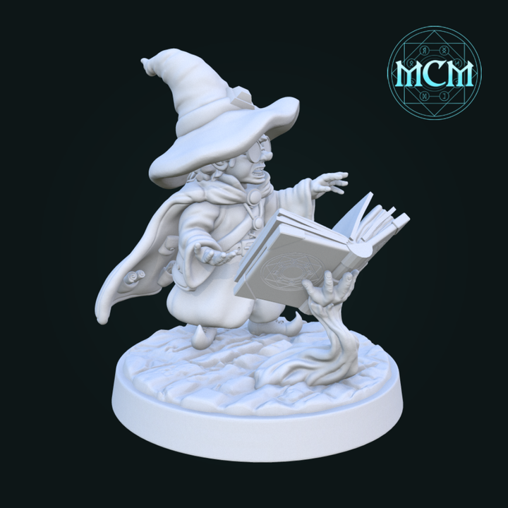 3D Printable Gnorbit, Scholarly Gnome Wizard by Magic Circle Miniatures