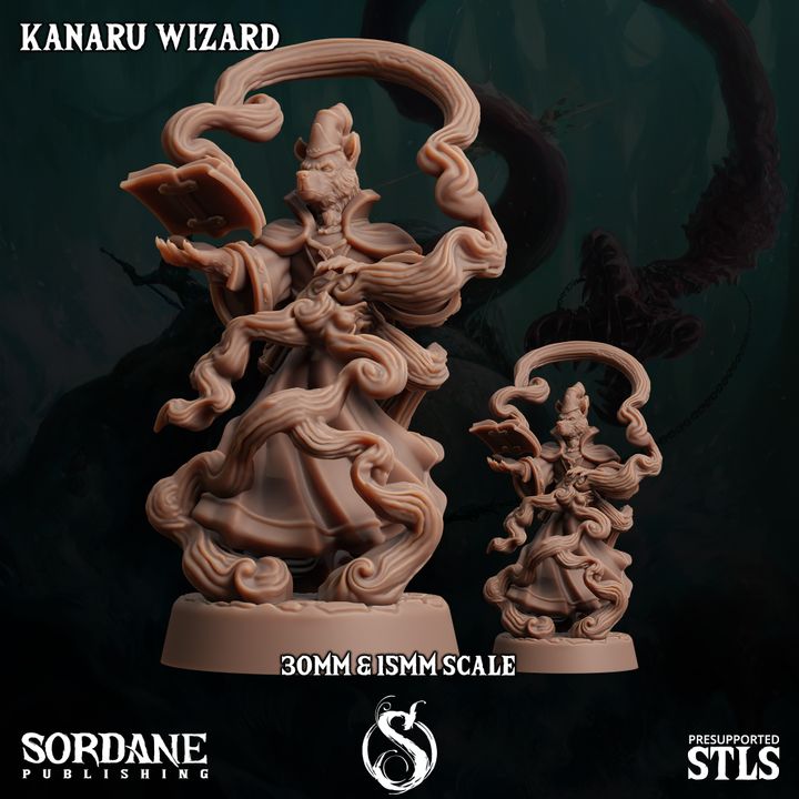 3D Printable Kanaru Wizard by Sordane Publishing
