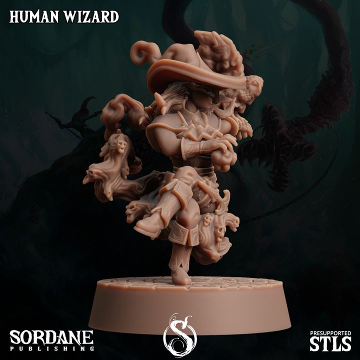 3D Printable Human Wizard by Sordane Publishing