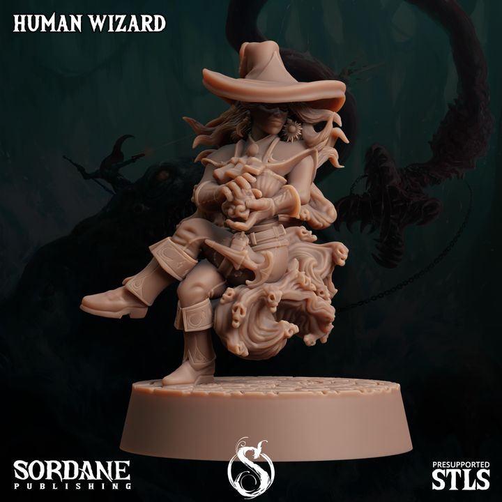 3D Printable Human Wizard by Sordane Publishing