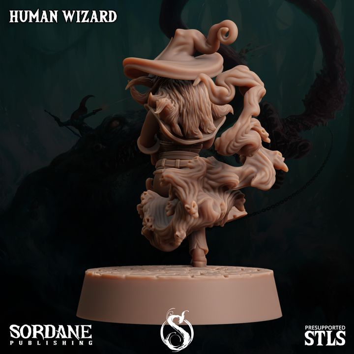 3D Printable Human Wizard by Sordane Publishing