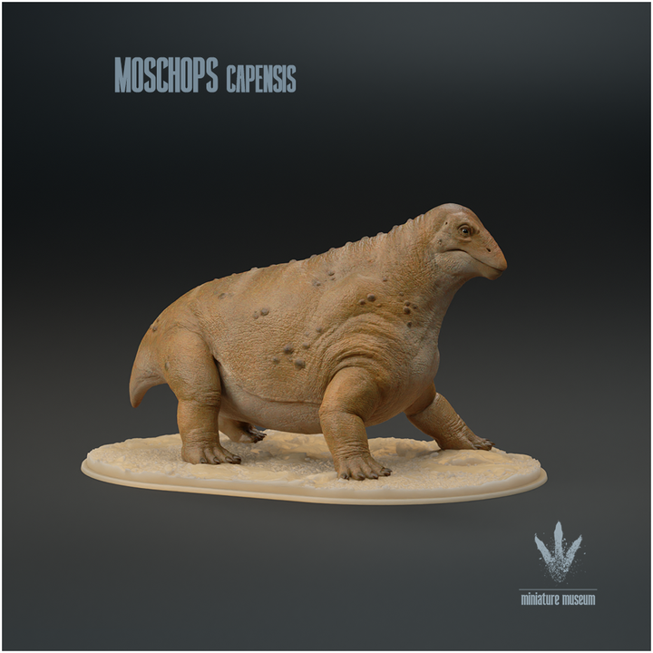 3D Printable Moschops capensis : The Calf Face by Miniature Museum