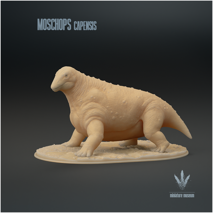Descargar Moschops capensis : The Calf Face de Miniature Museum
