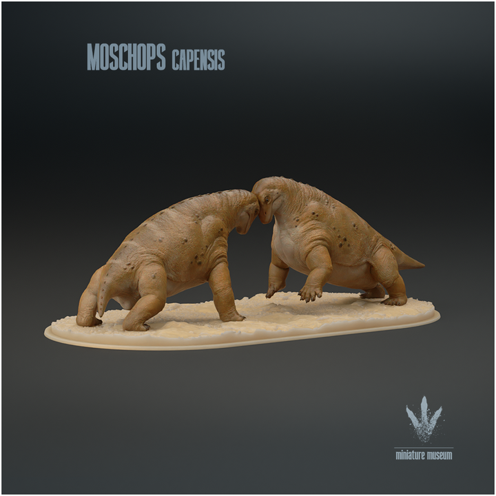 3D Printable Moschops capensis : Fighting by Miniature Museum