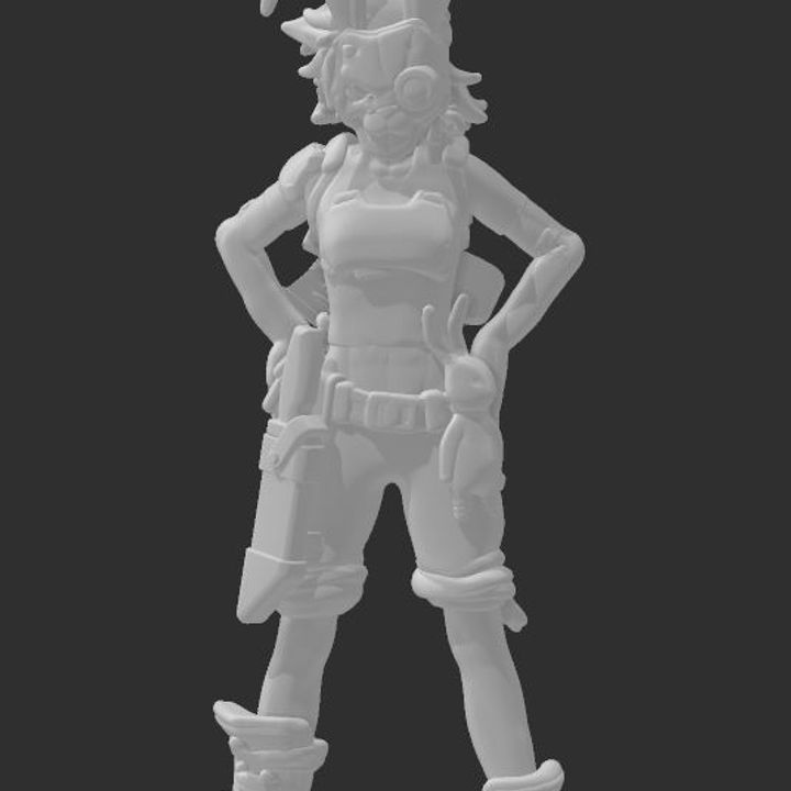 3D Printable Tina the borderlands explorer by David