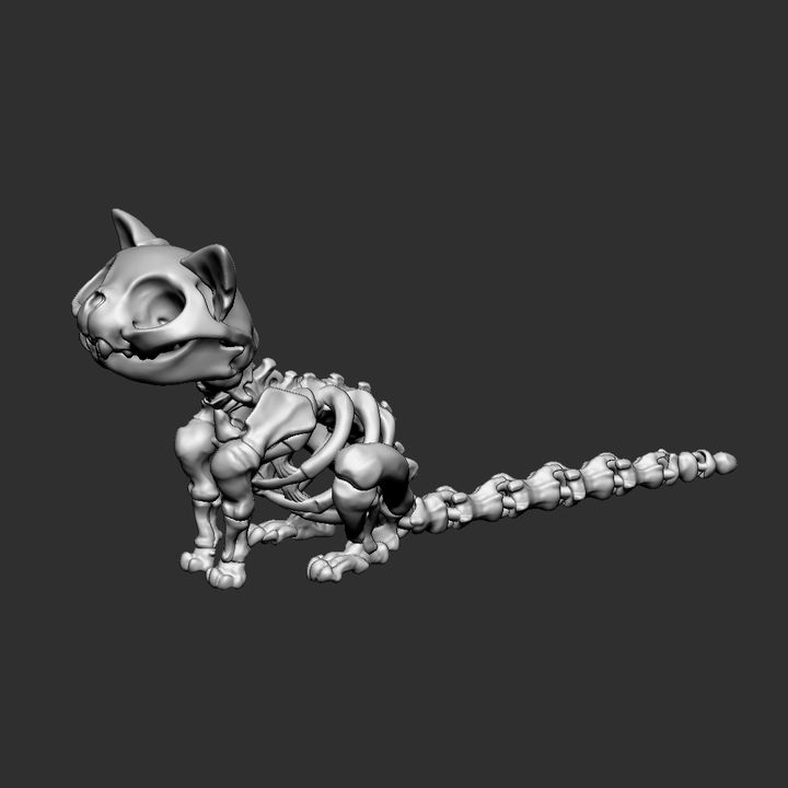 3D Printable Articulated Stylized Cat Skeleton 3D Print-In-Place STL ...