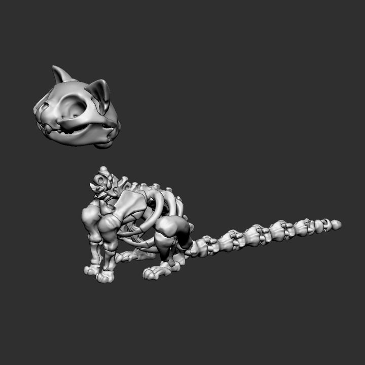 3D Printable Articulated Stylized Cat Skeleton 3D Print-In-Place STL ...