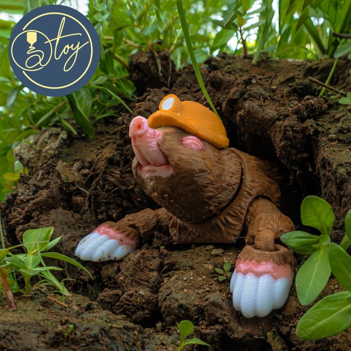 3D Printable Diggy the Mole by Atoy