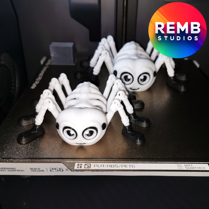 3D Printable Flexi Skeleton Spider Remb Studios, STL file for 3D ...