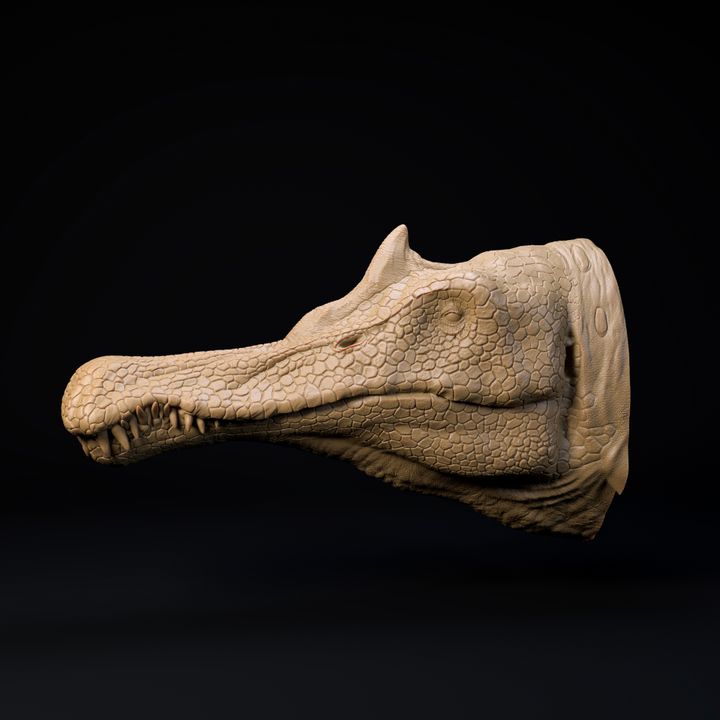 3D Printable Spinosaurus mount-head by Dino and Dog