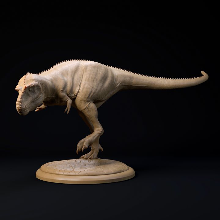 3D Printable Gorgosaurus 32mm scale pre-supported dinosaur by Dino and Dog