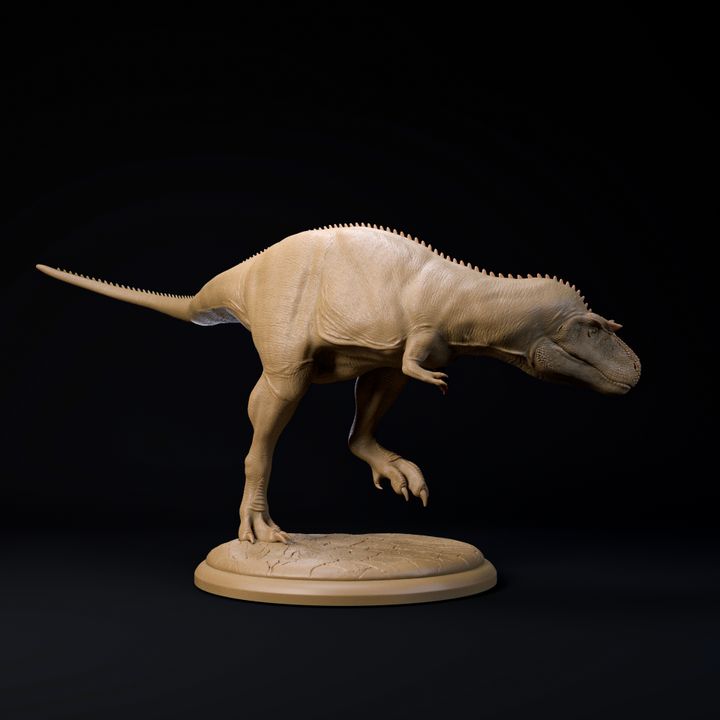 3D Printable Gorgosaurus 32mm scale pre-supported dinosaur by Dino and Dog
