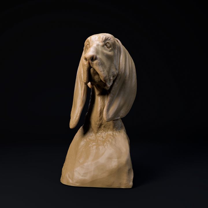 3D Printable Basset hound bust - looking at the treat - pre supported ...